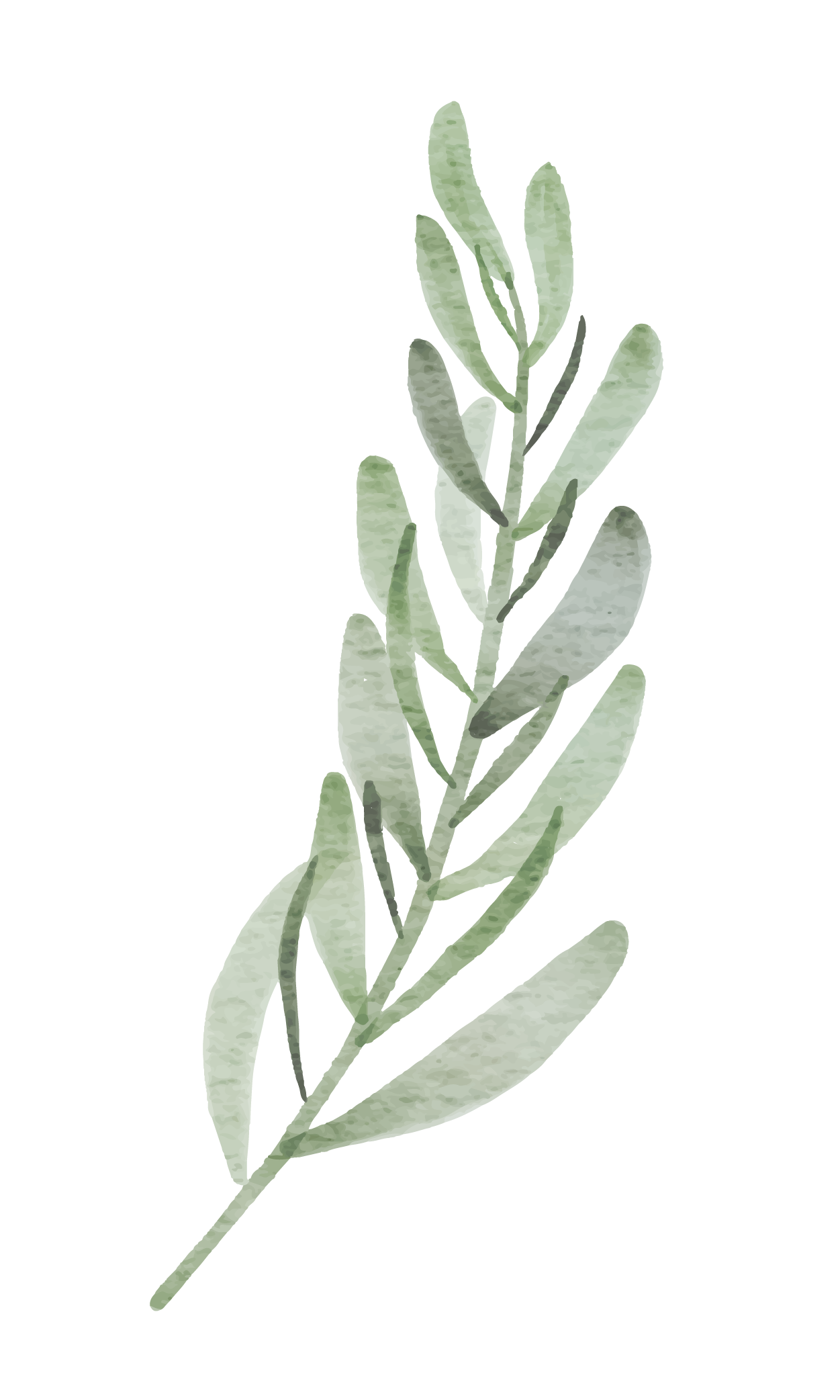 Arztpraxis Dr. Gudrun Simon