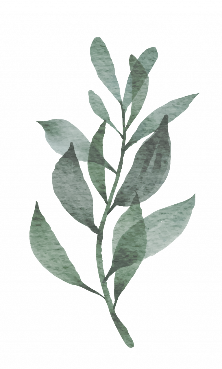 Arztpraxis Dr. Gudrun Simon