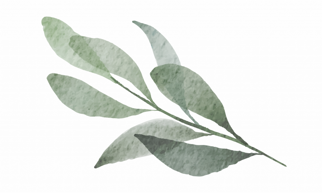 Über uns – Arztpraxis Dr. Gudrun Simon